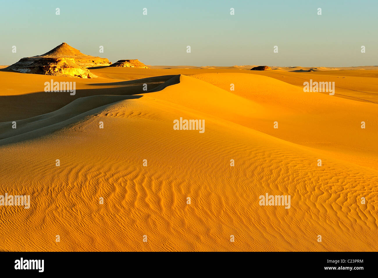Dunes in the Great Sand Sea, Western Desert (Lybian Desert), Egypt ...