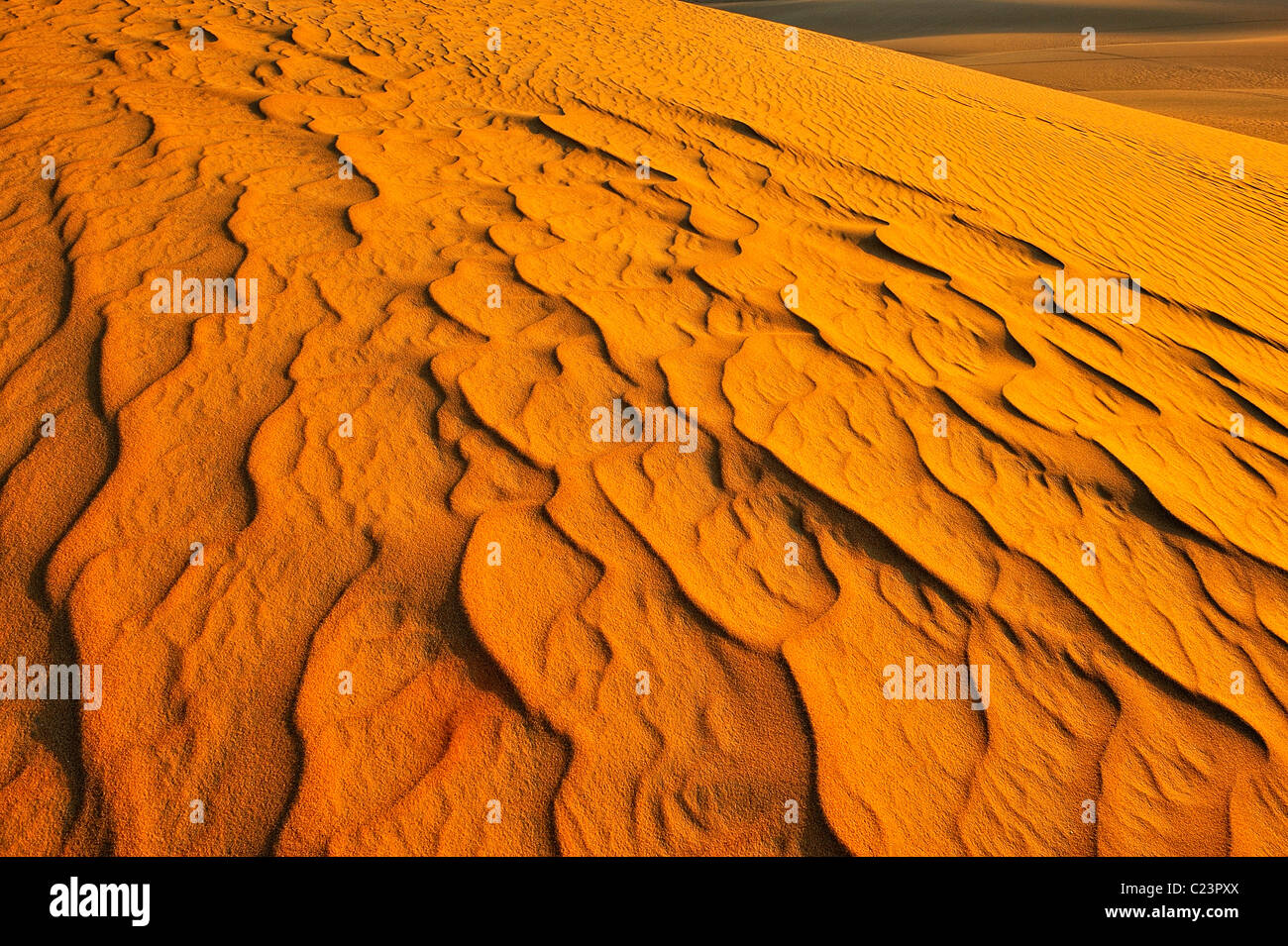 Dunes in the Great Sand Sea, Western Desert (Lybian Desert), Egypt ...