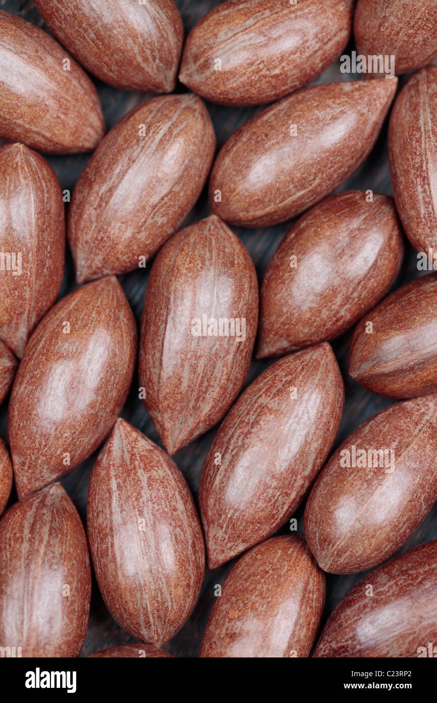 Pecan brown hi-res stock photography and images - Alamy