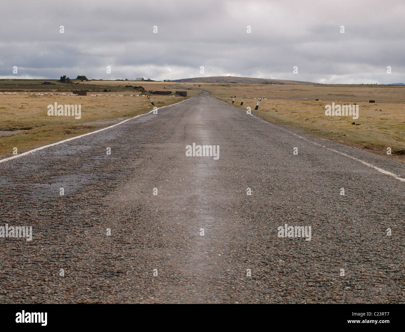 Road across the moors, Cornwall, UK Stock Photo - Alamy