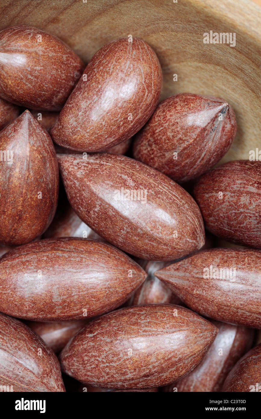 Pecan brown hi-res stock photography and images - Alamy