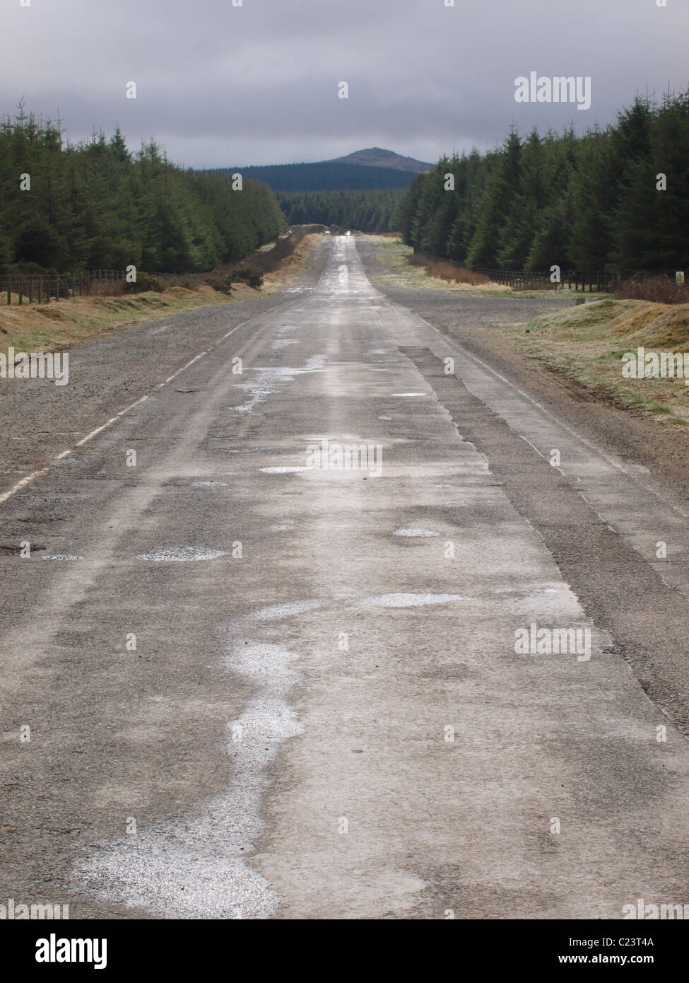 Country road through Davidstow wood, Bodmin Moor, Cornwall, UK Stock ...