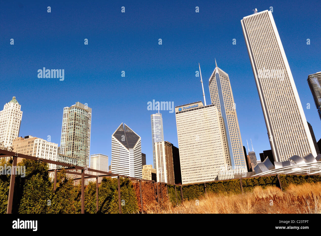 An extreme view of the north loop skyline as seen from the gardens of ...