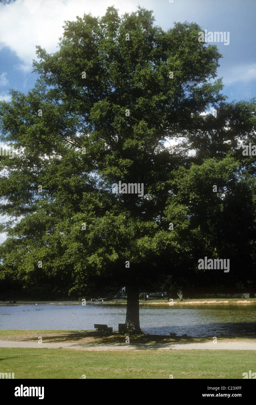 Charlotte parks hi-res stock photography and images - Alamy