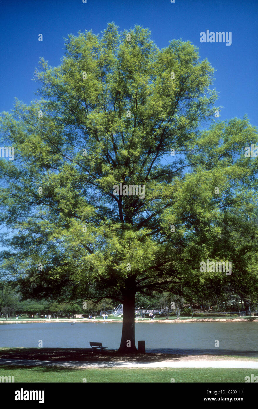 North carolina charlotte lake hi-res stock photography and images - Alamy