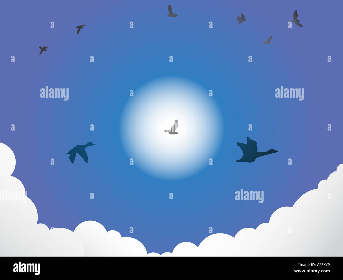 Birds flying past the sun hi-res stock photography and images - Alamy