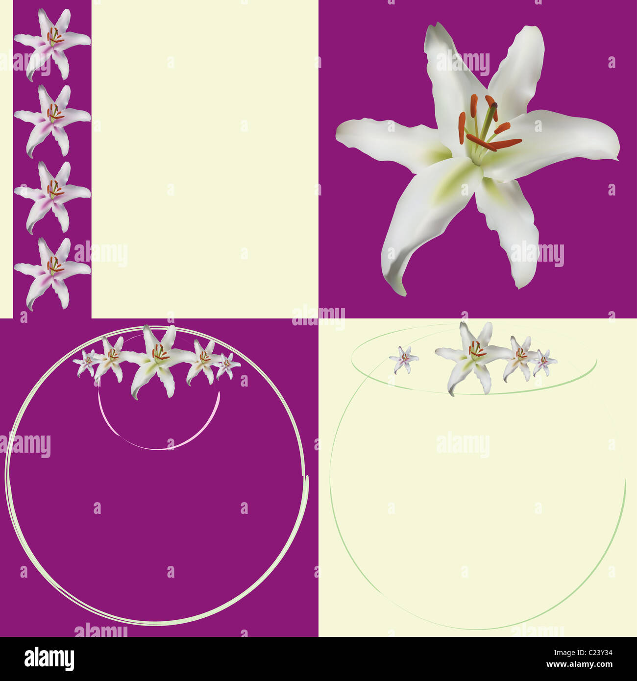 Lily flower border selection - A selection of four lily designs ...