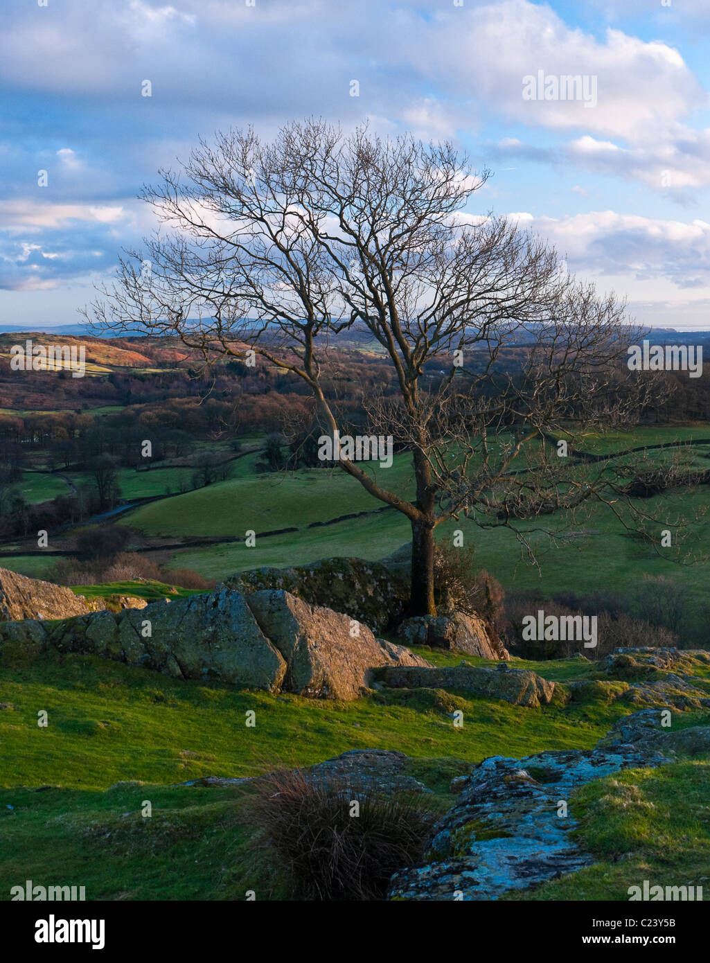 Brant fell hi-res stock photography and images - Alamy