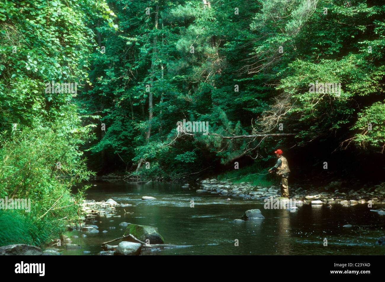 Man fishing in stream Stock Photo - Alamy