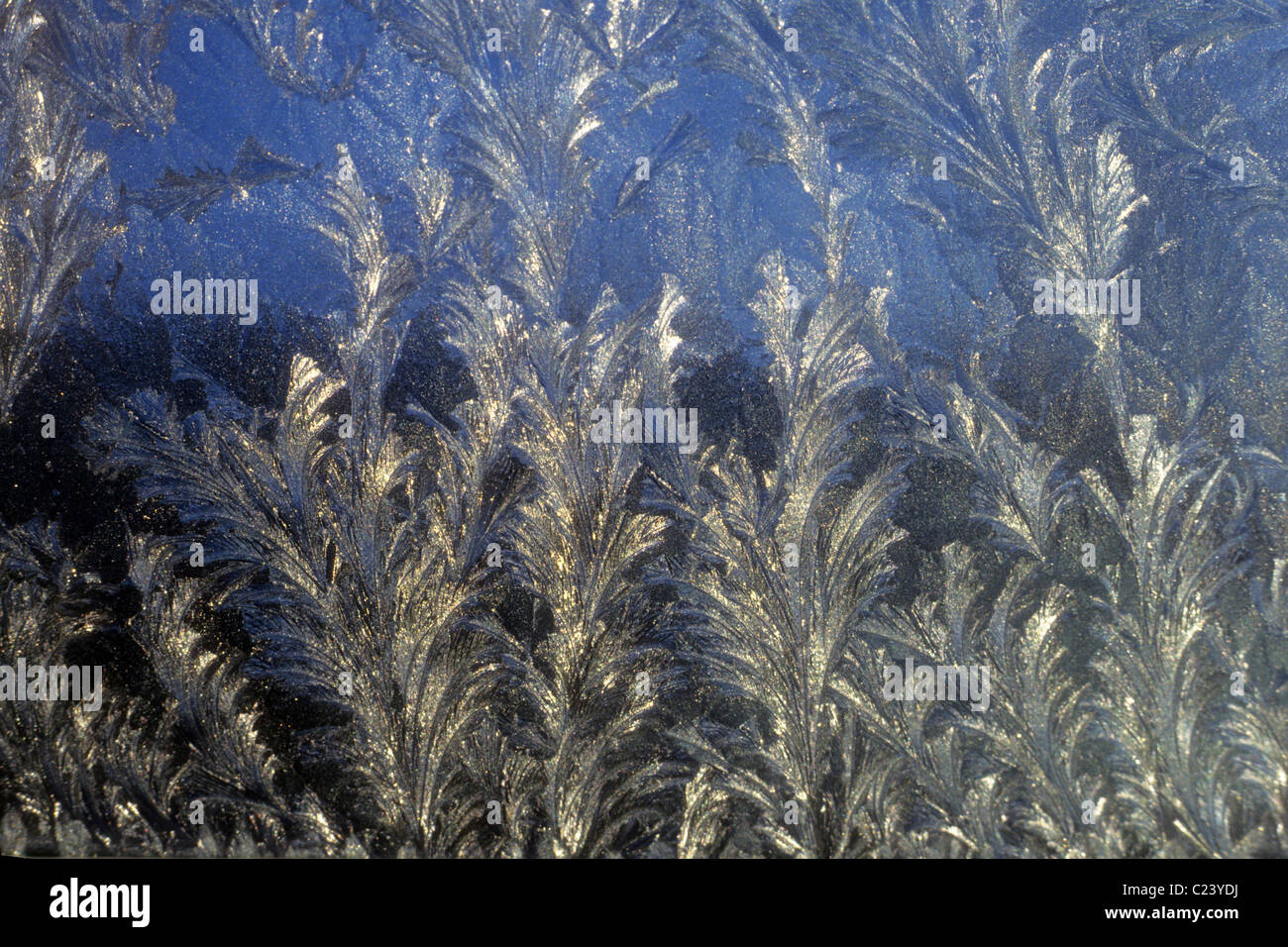 Frost forms on a cold glass window pane Stock Photo - Alamy