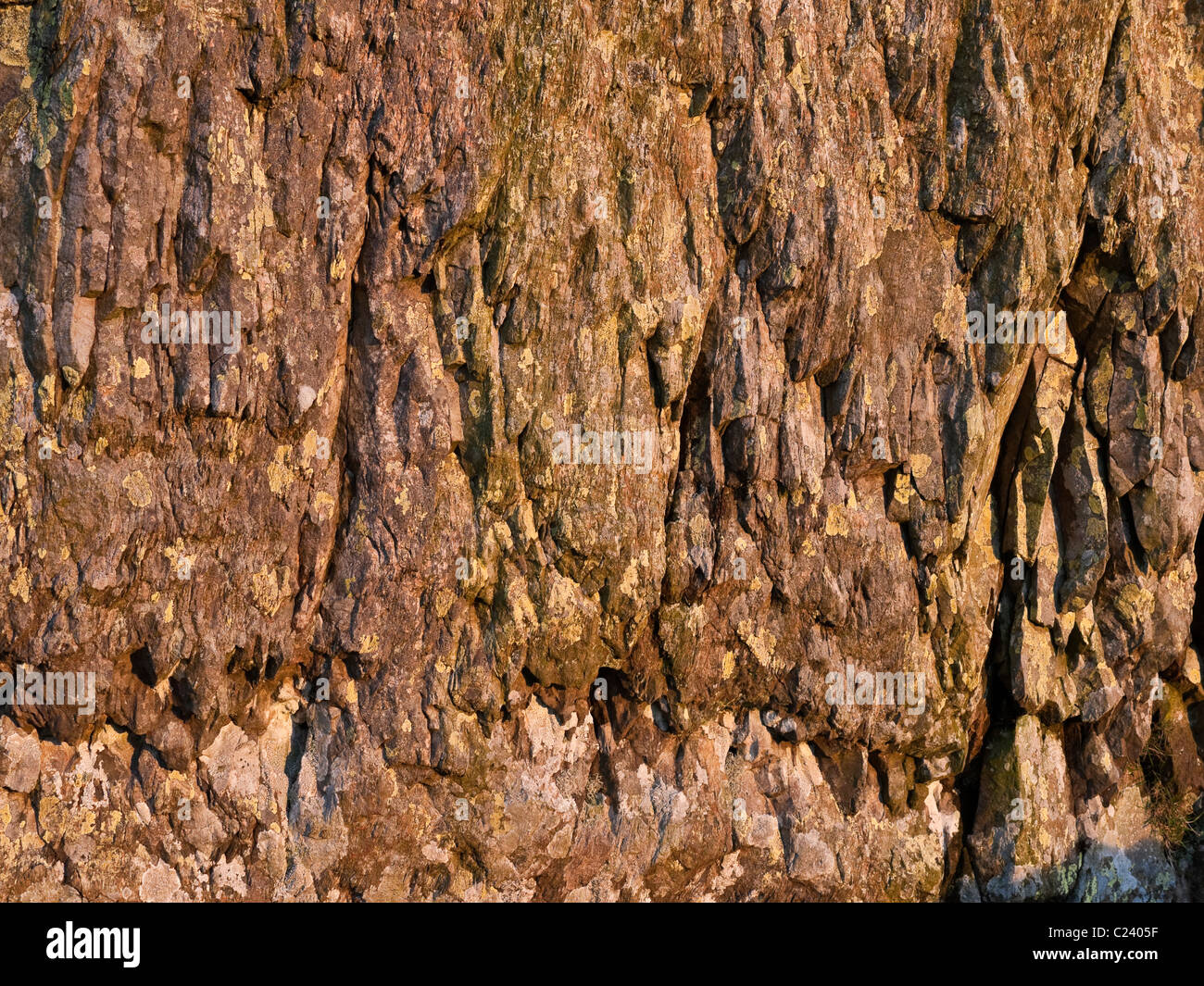Rock texture details on Brant Fell in the Lake District Stock Photo - Alamy