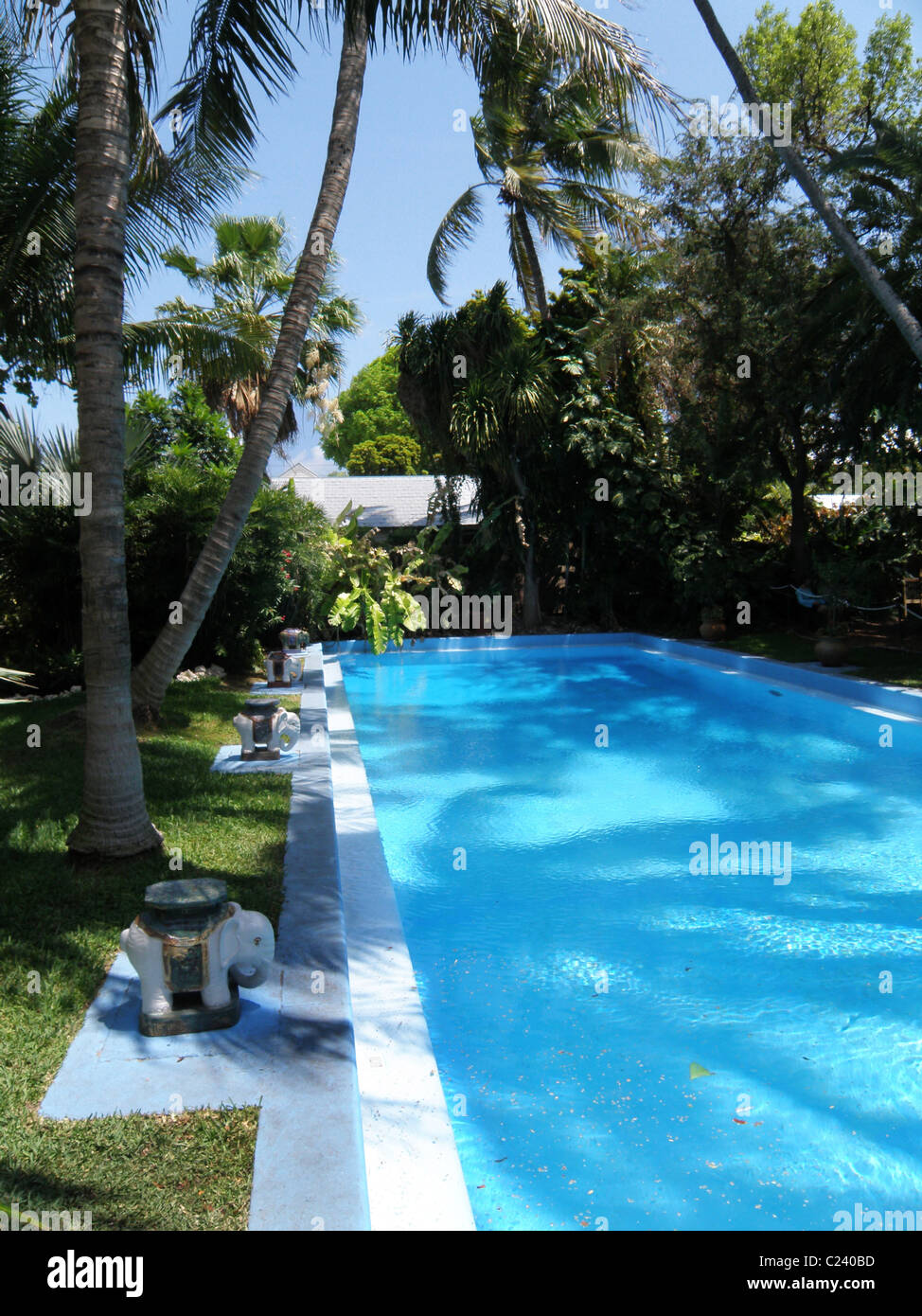 The backyard pool of the Hemingway house in Key West, Florida Stock ...