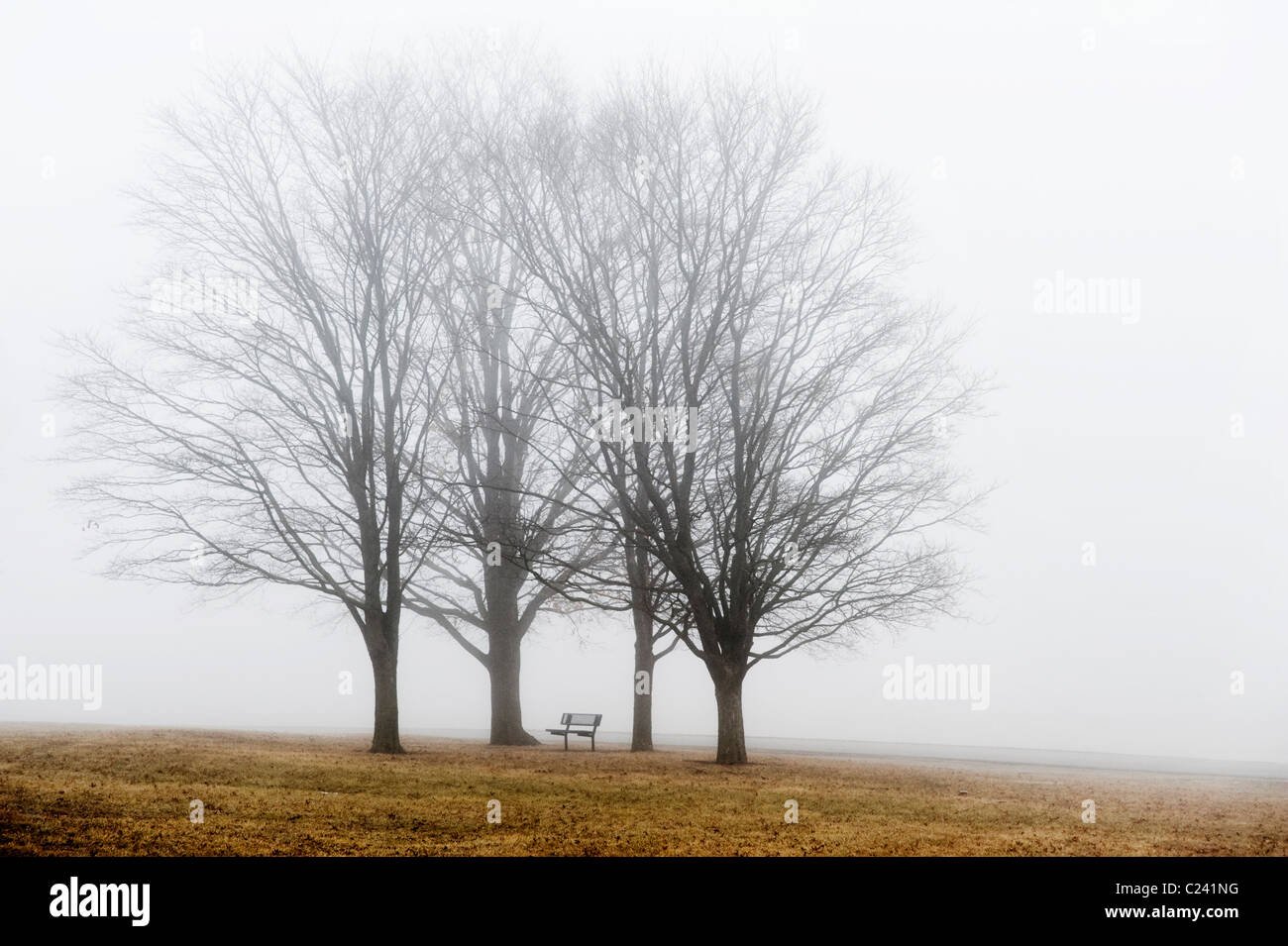 Kansas plains hi-res stock photography and images - Alamy