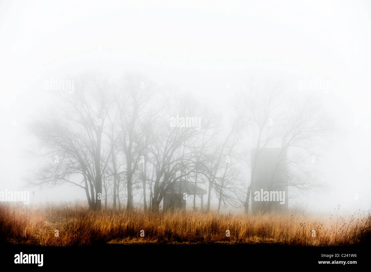 Kansas wheat hi-res stock photography and images - Alamy