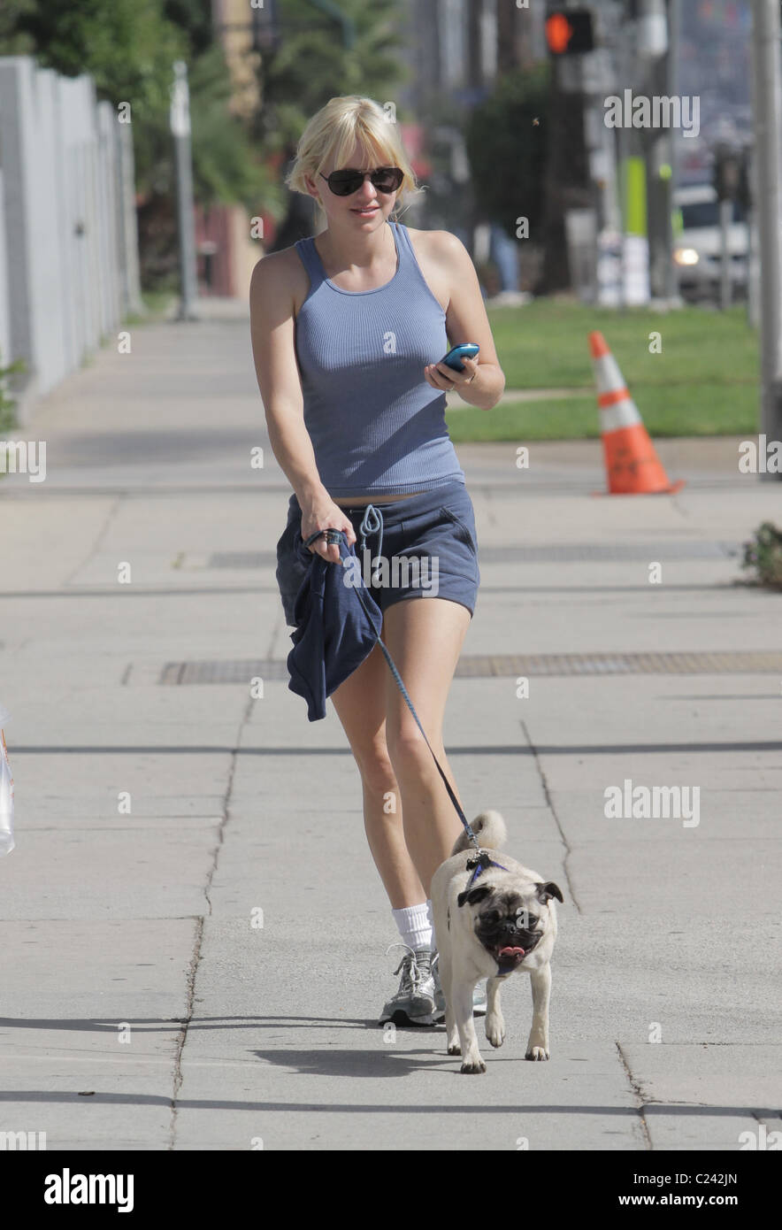 Anna Faris and her dog Bonzo have lunch at Cheebo and walk to Almor ...
