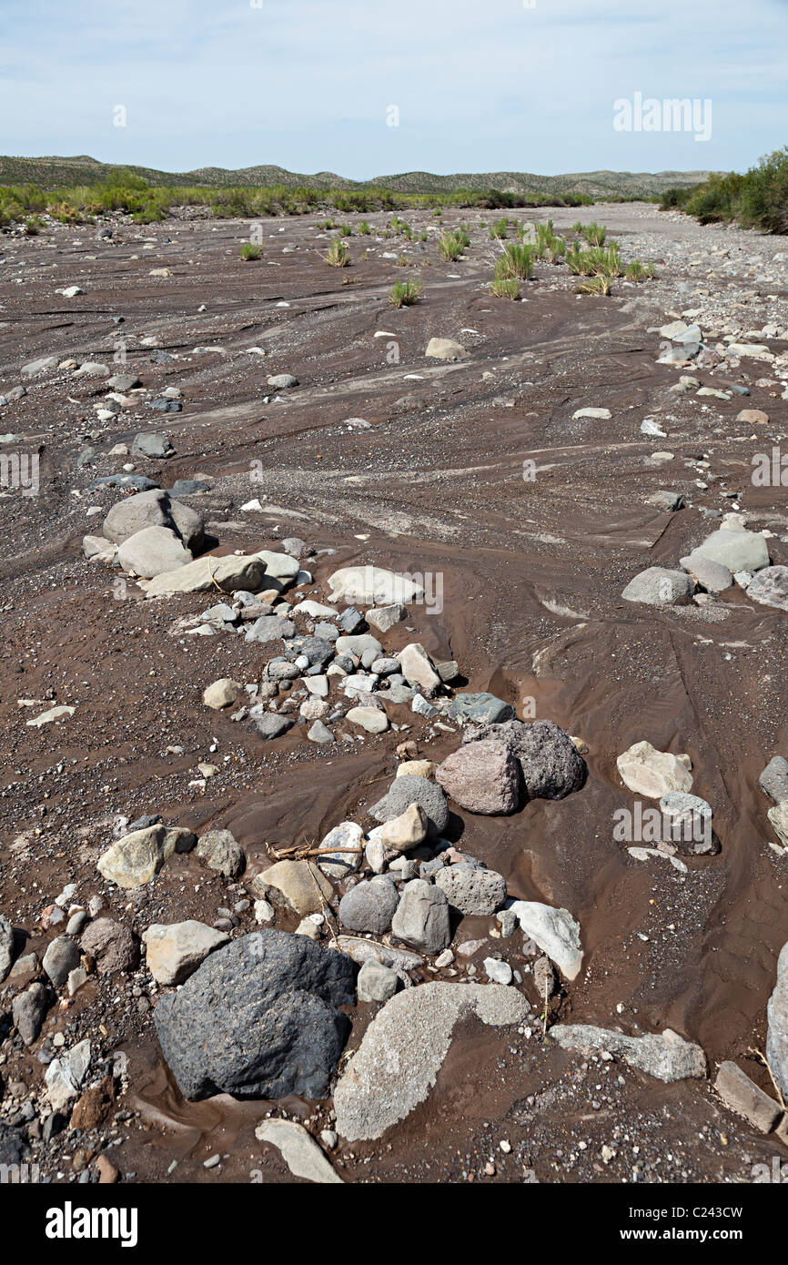 Washed out dirt road Big Bend Ranch State Park Texas USA Stock Photo ...