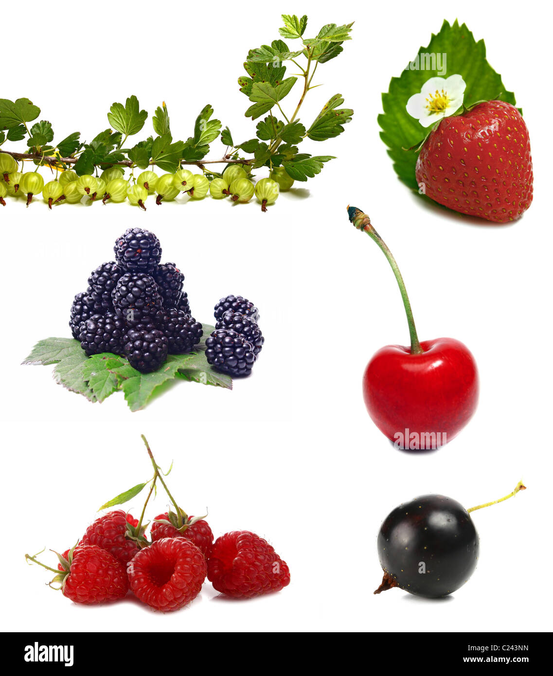 berries isolated on white background Stock Photo - Alamy
