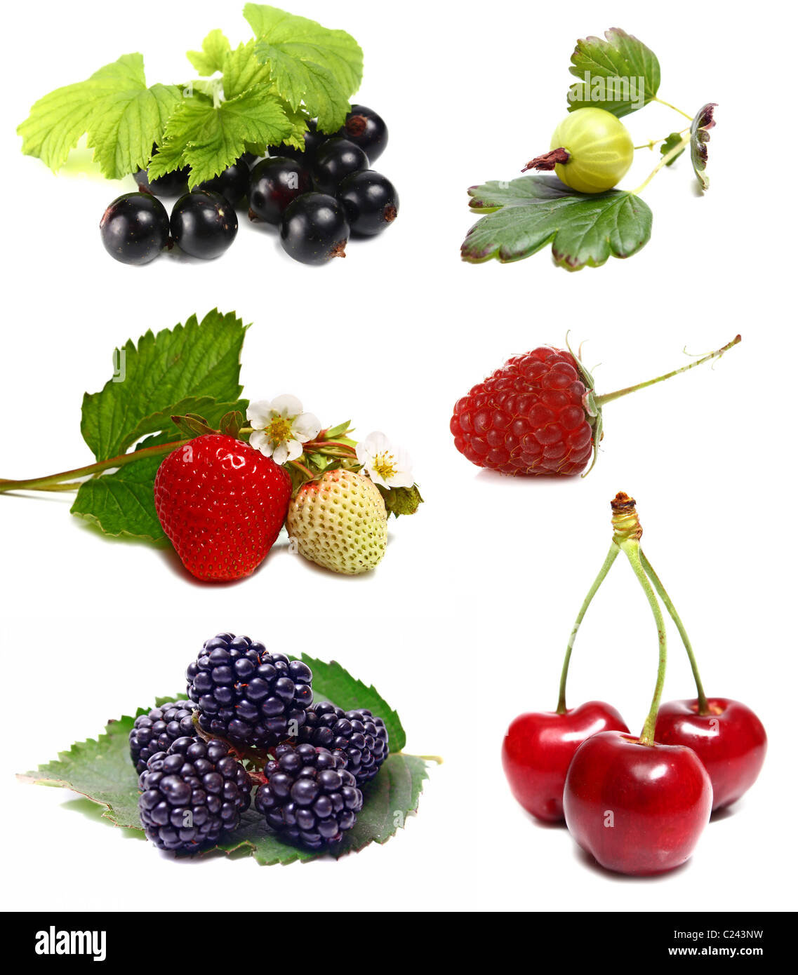 berries isolated on white background Stock Photo - Alamy