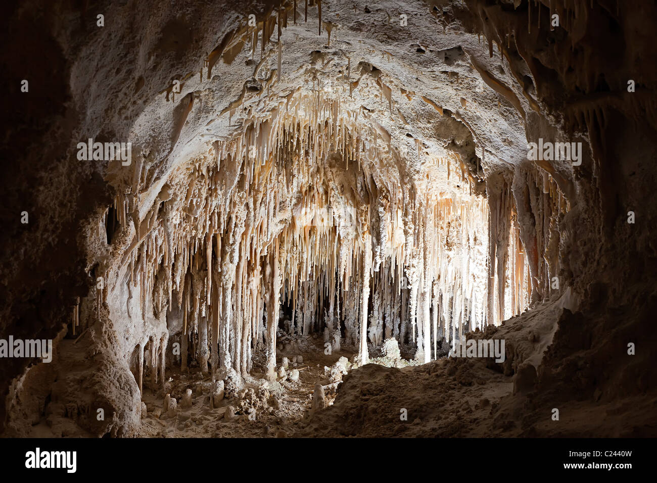 Cave formations in Carlsbad Caverns New Mexico USA Stock Photo - Alamy