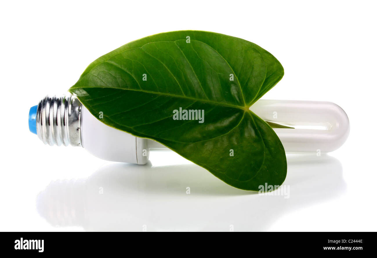 lightbulb and green leaf isolated on white background Stock Photo - Alamy