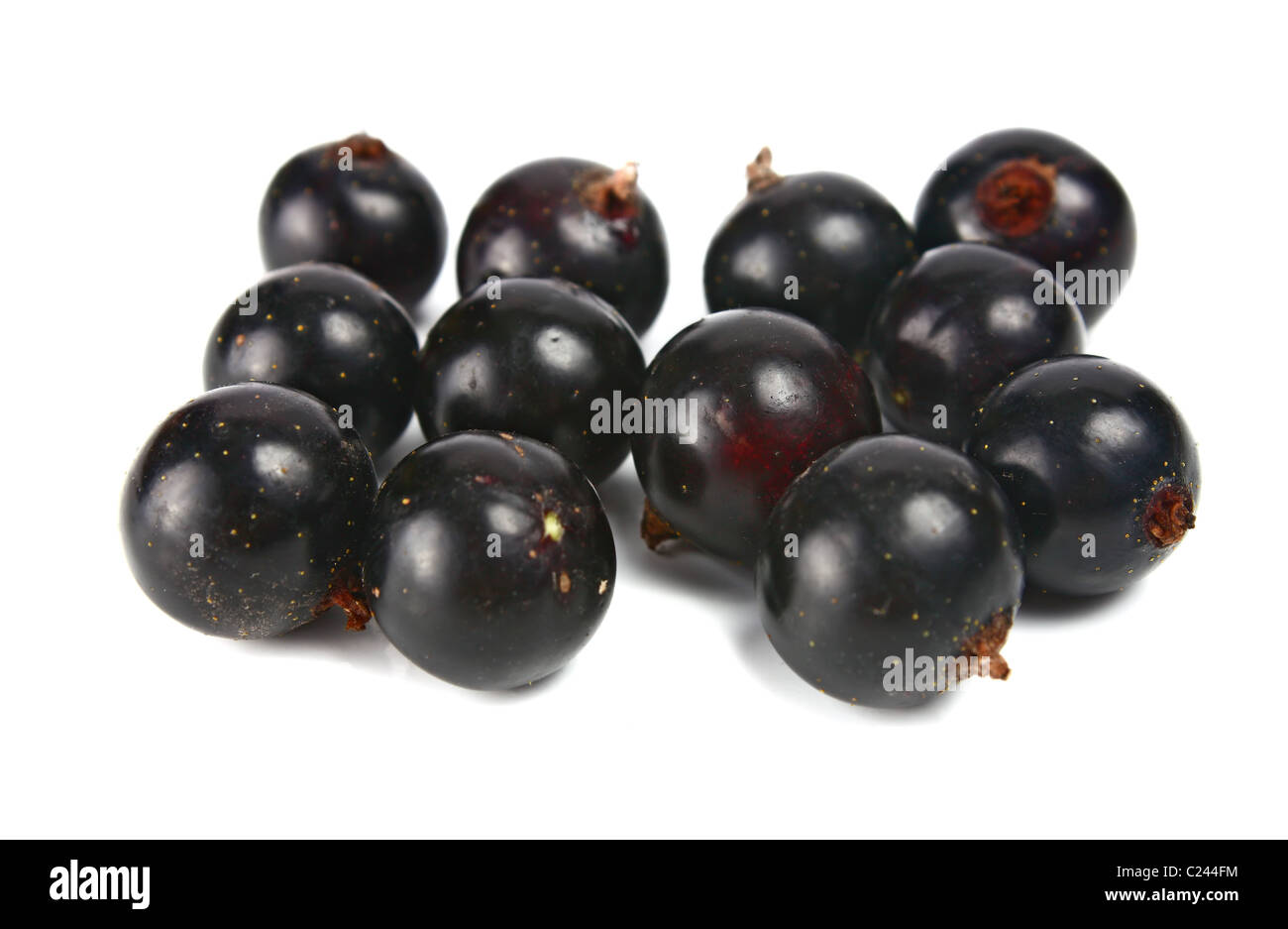 black currants isolated on white background Stock Photo - Alamy