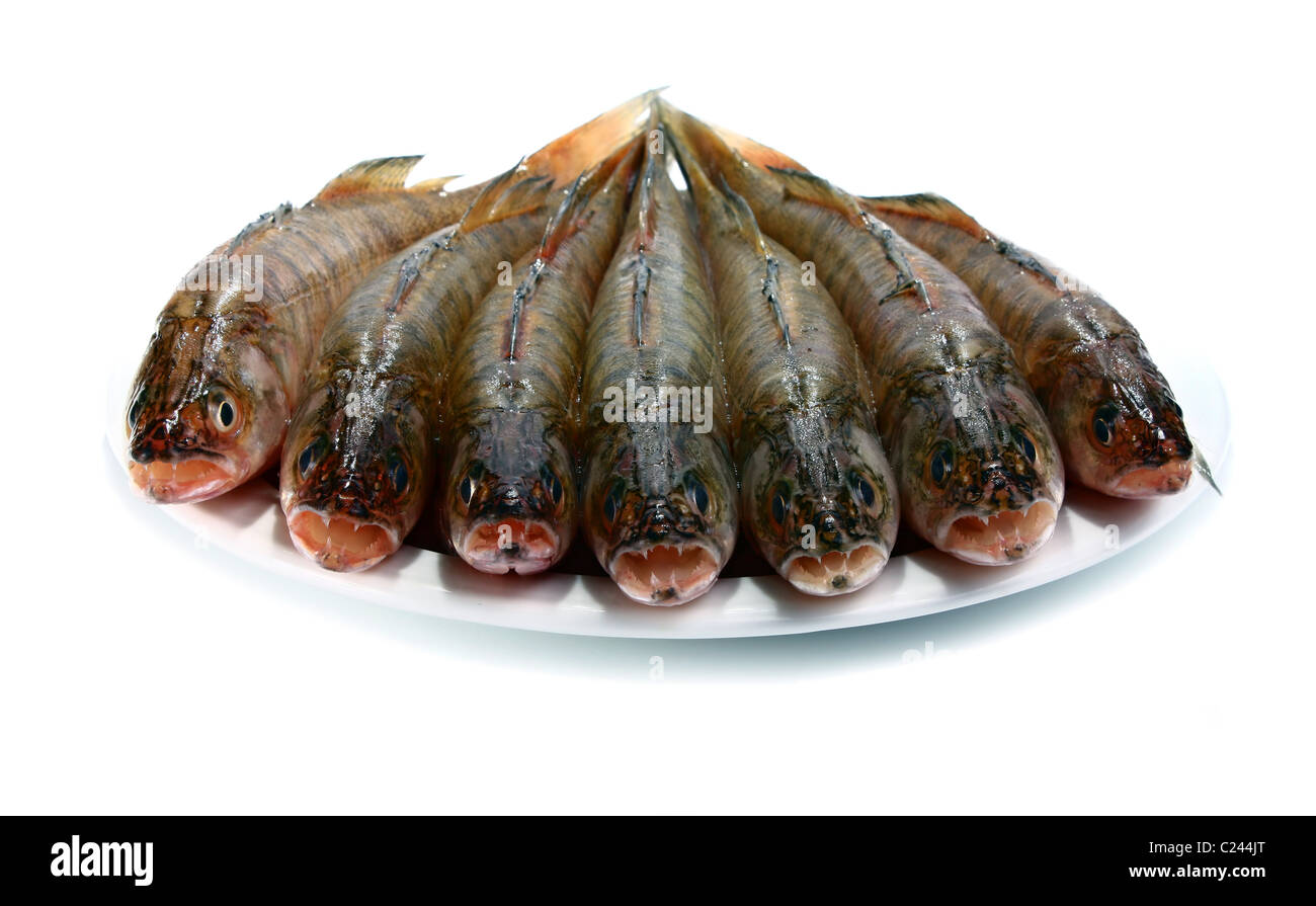 fresh raw fish isolated on white background Stock Photo - Alamy
