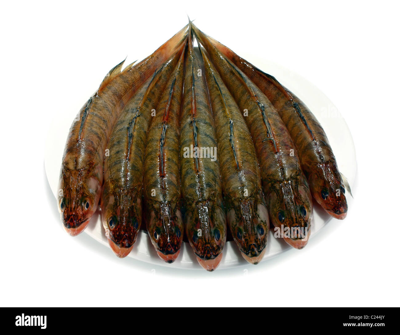 fresh raw fish isolated on white background Stock Photo - Alamy