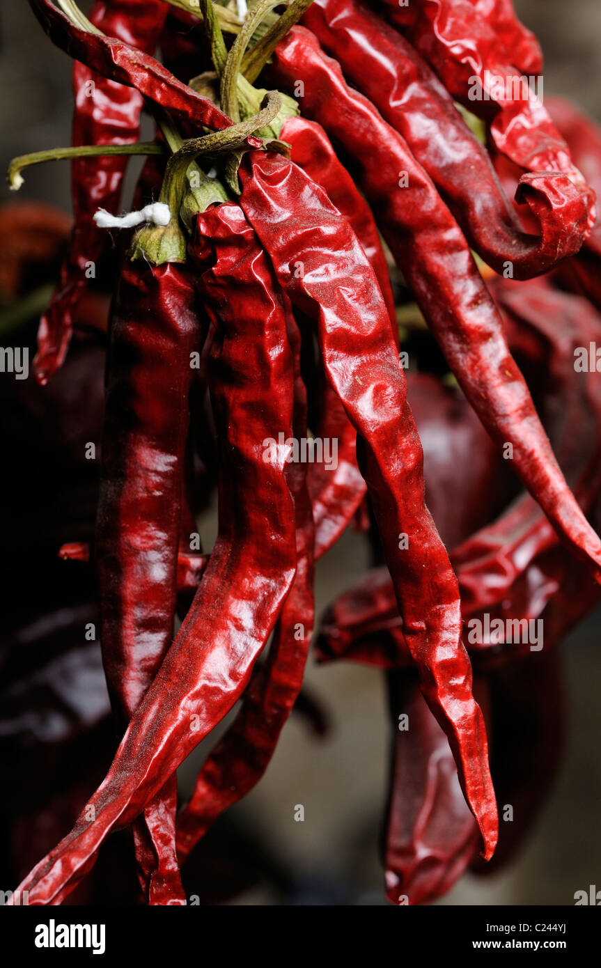Red chillis drying hi-res stock photography and images - Alamy
