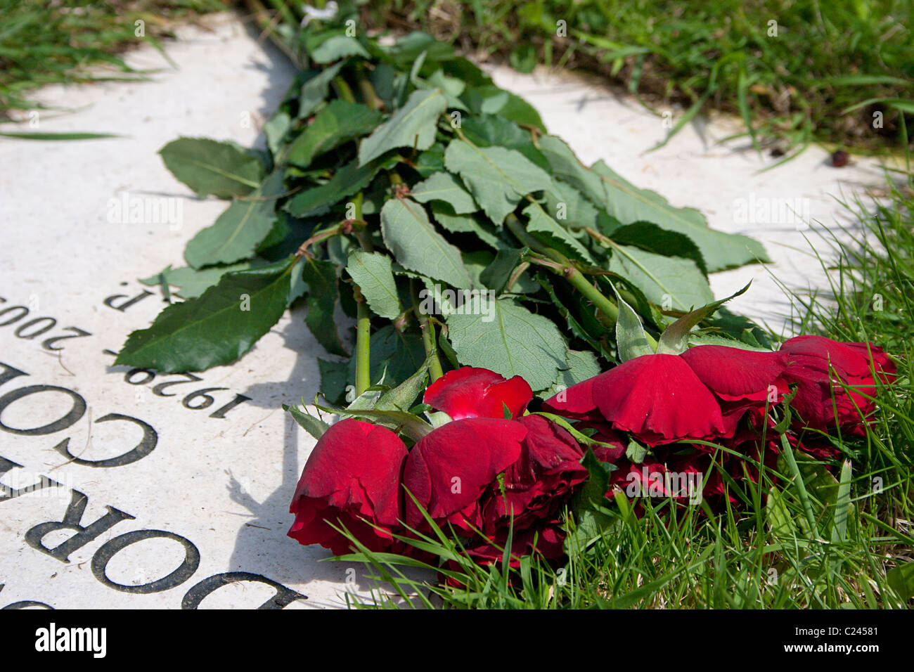 red roses on gravestone Stock Photo - Alamy