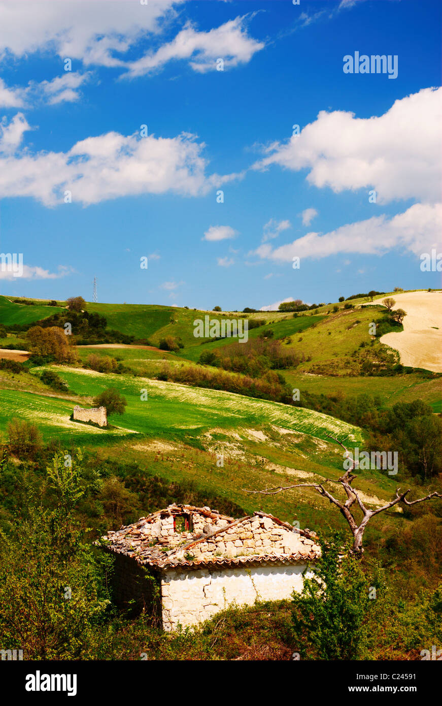 Bright summer landscape with little old stone house Stock Photo - Alamy