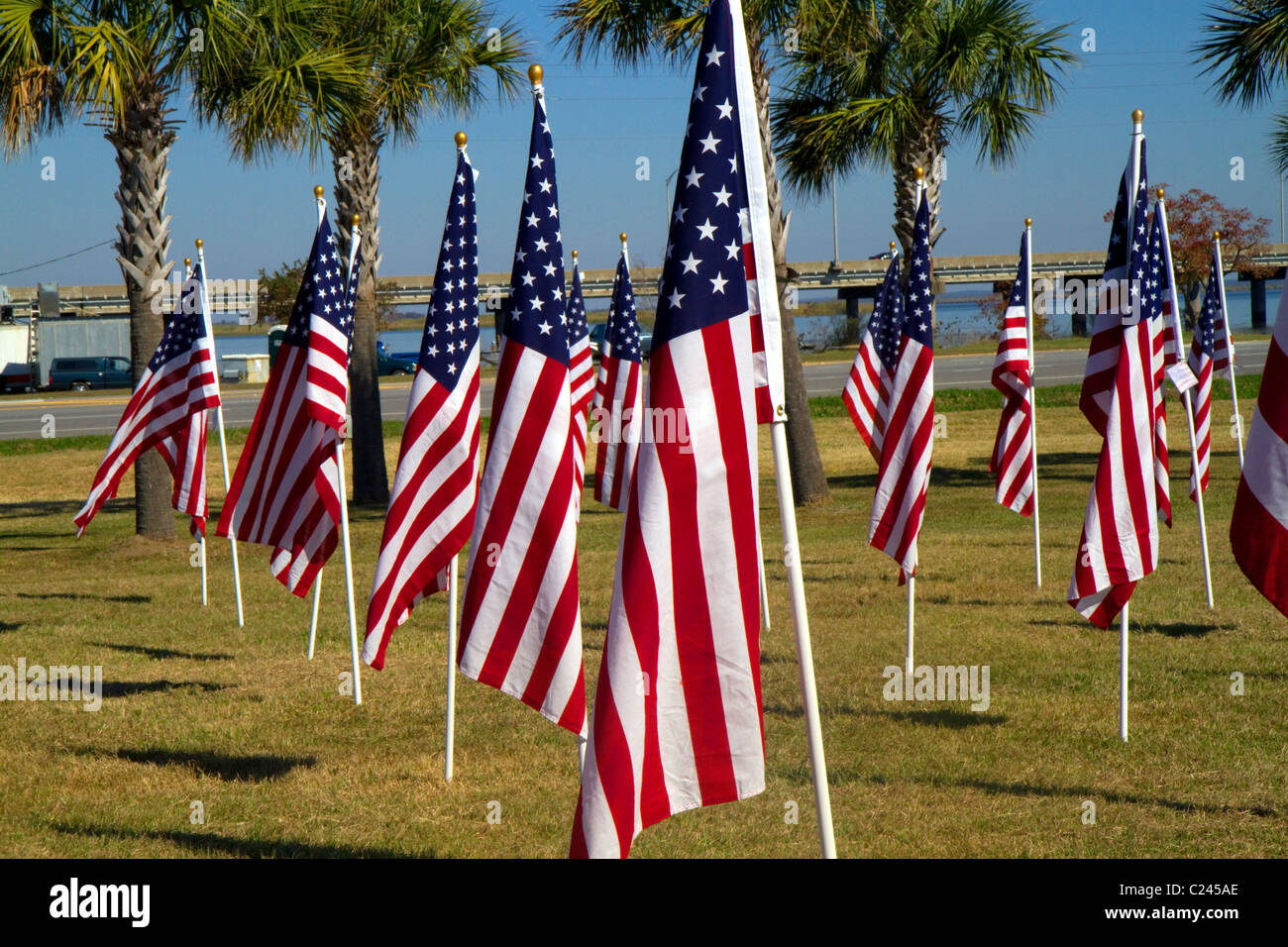 United States flags on display in honor of Veteran's Dat at Battleship ...