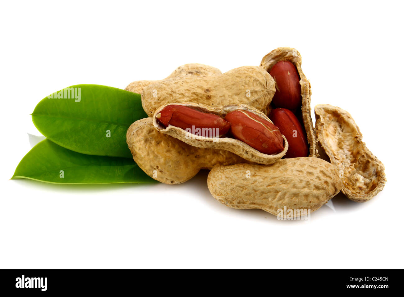 peanut isolated on white background Stock Photo - Alamy
