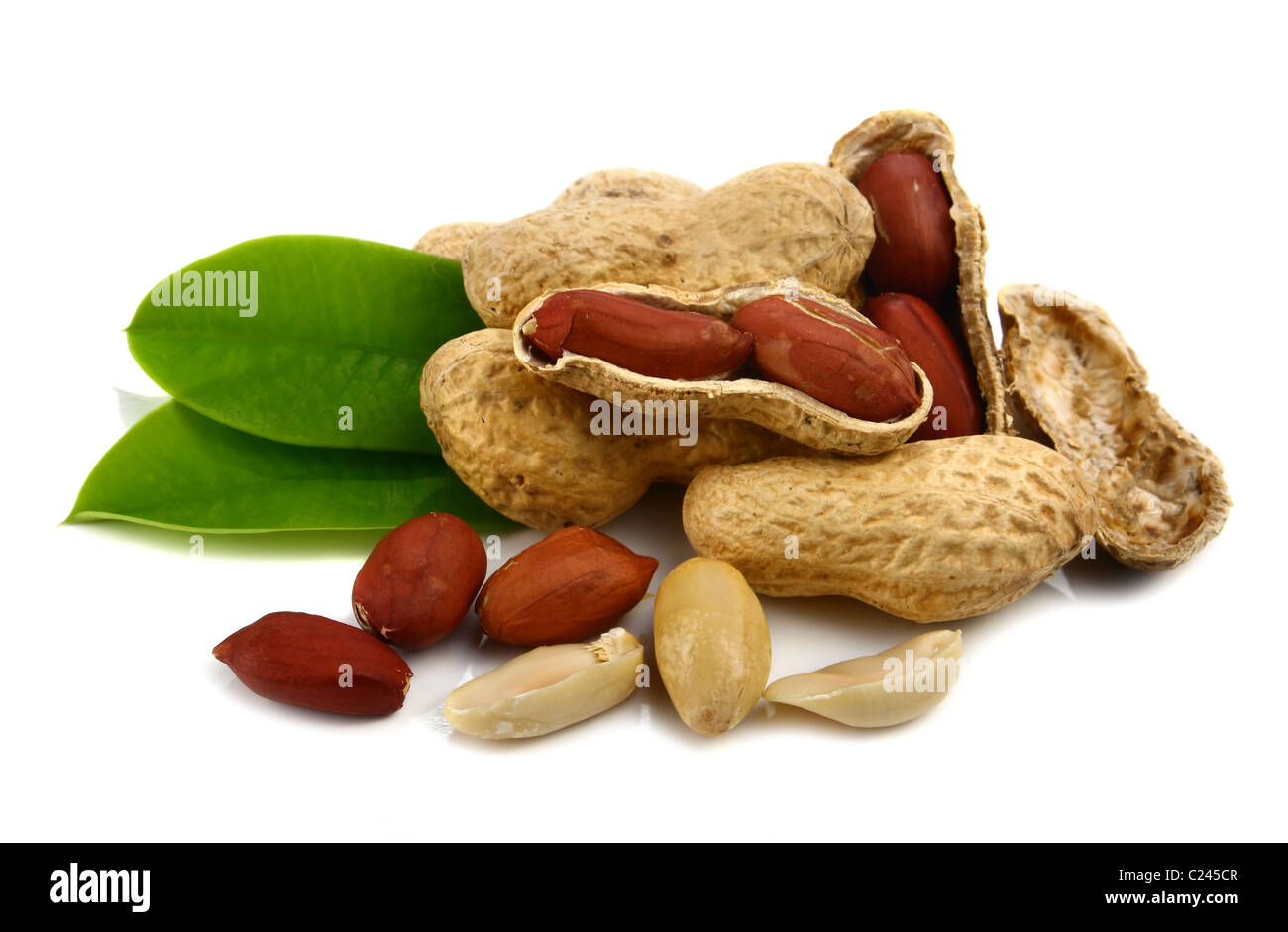 peanut isolated on white background Stock Photo - Alamy
