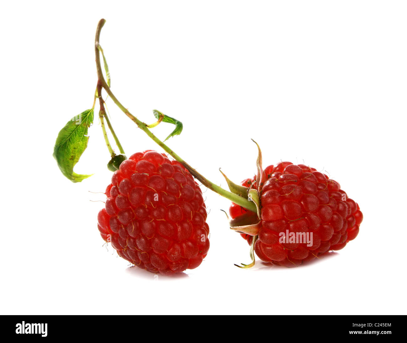 ripe red raspberry isolated on white background Stock Photo - Alamy