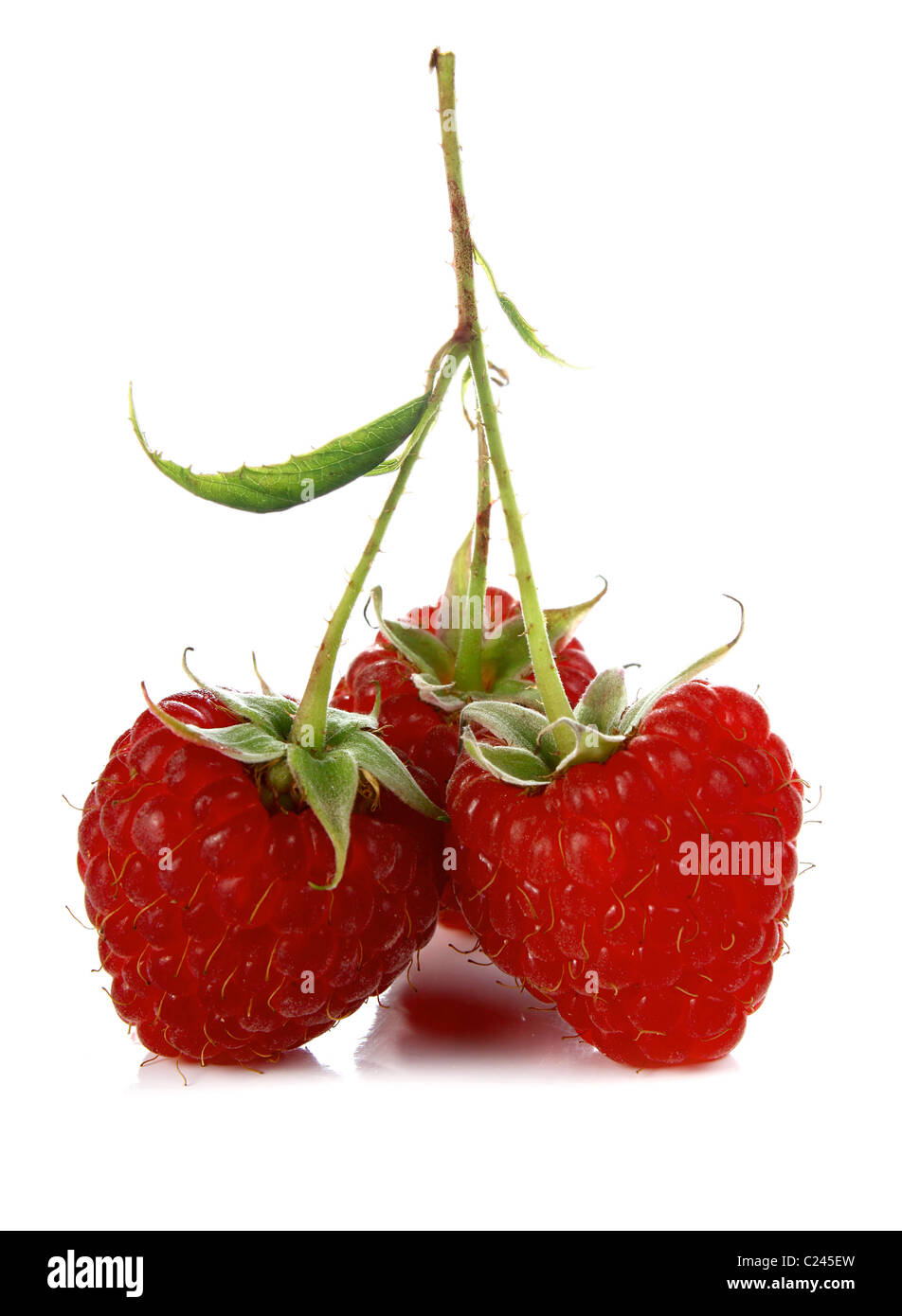 ripe red raspberry isolated on white background Stock Photo - Alamy