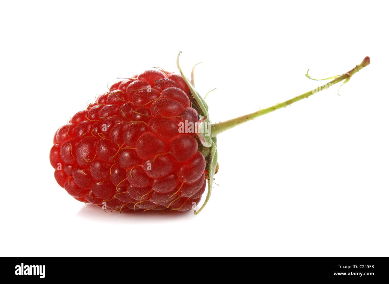 ripe red raspberry isolated on white background Stock Photo - Alamy