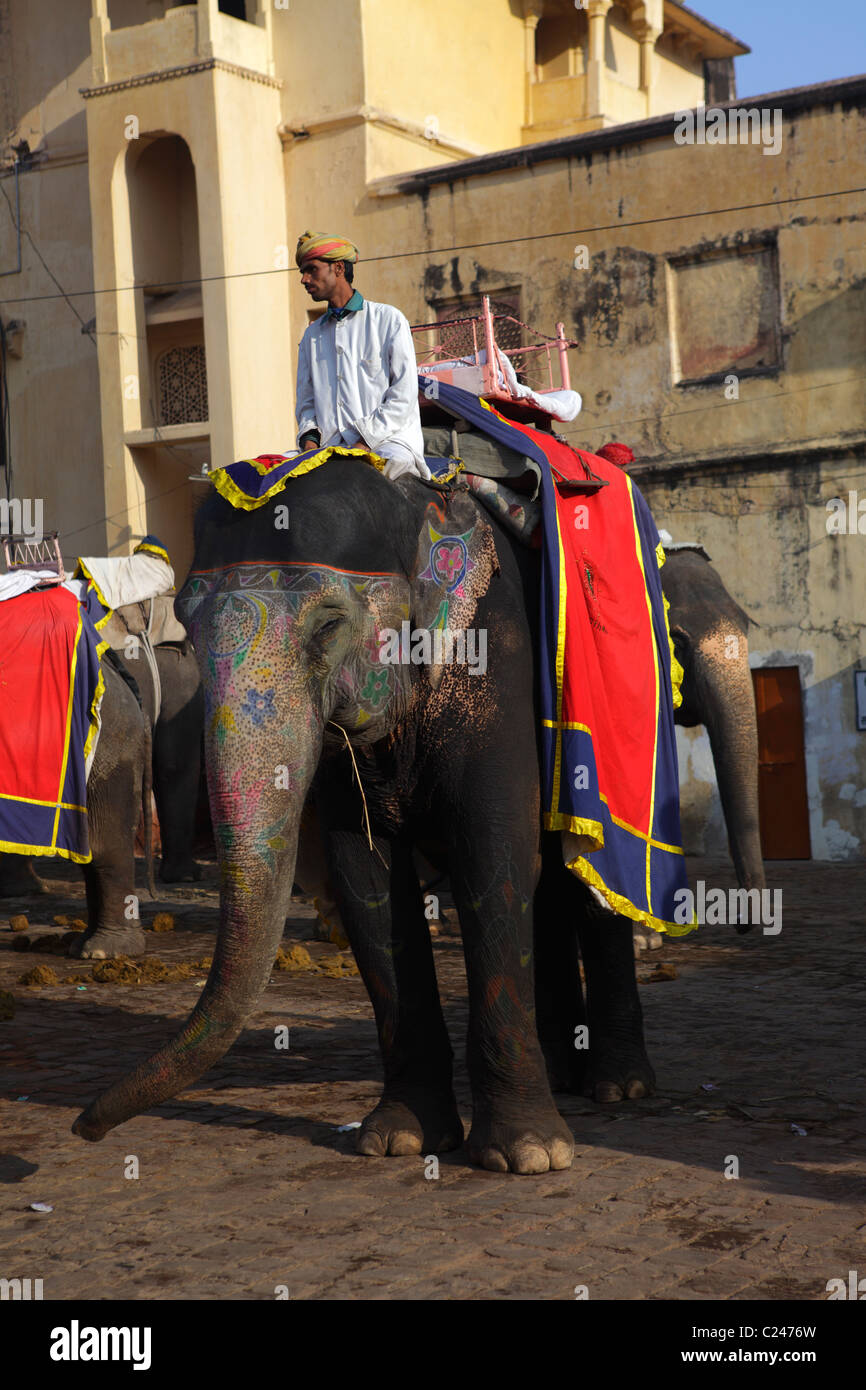 Elephant service to ride up to Amber Fort, Jaipur, India Stock Photo ...