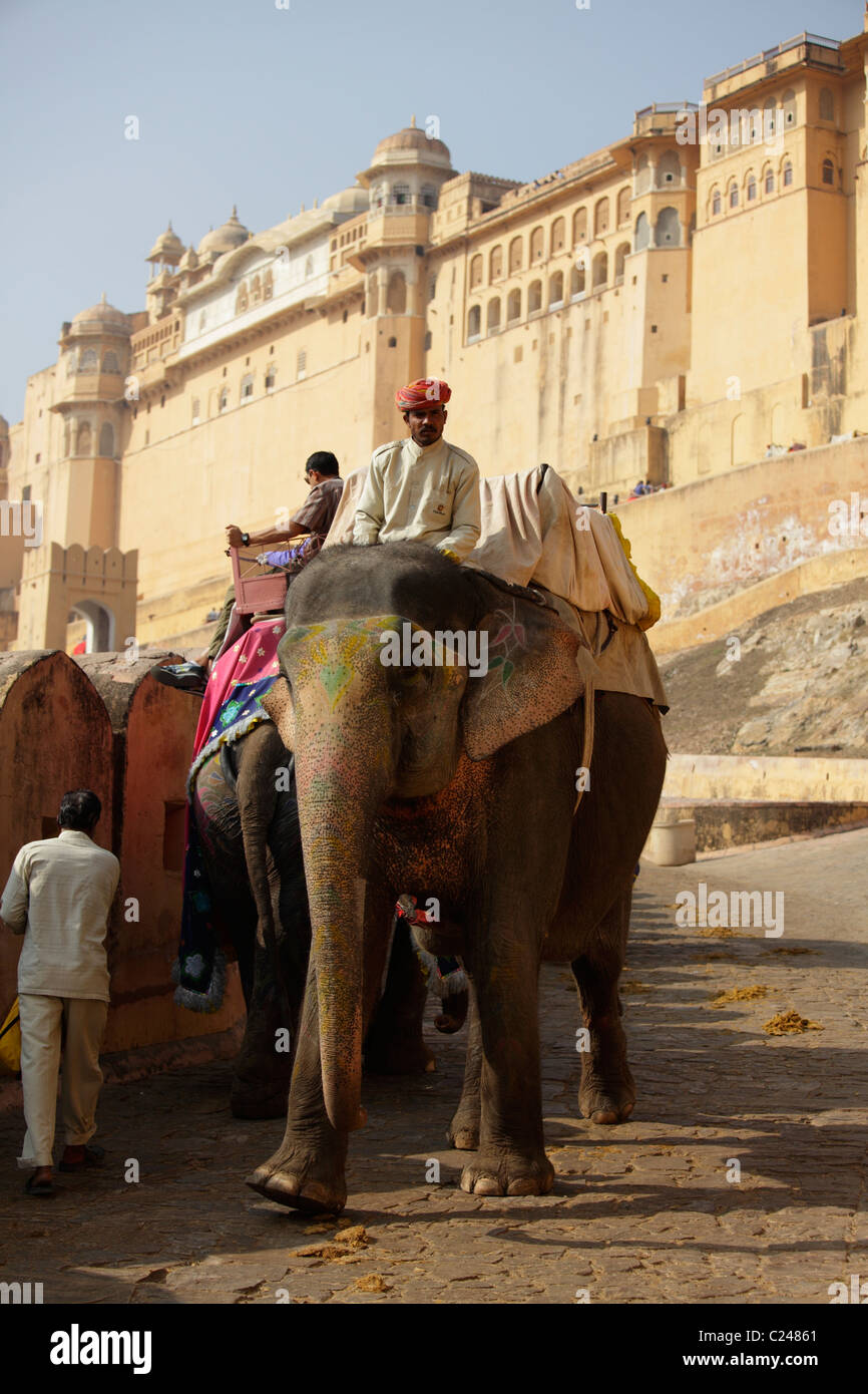 Elephant service to ride up to Amber Fort, Jaipur, India Stock Photo ...