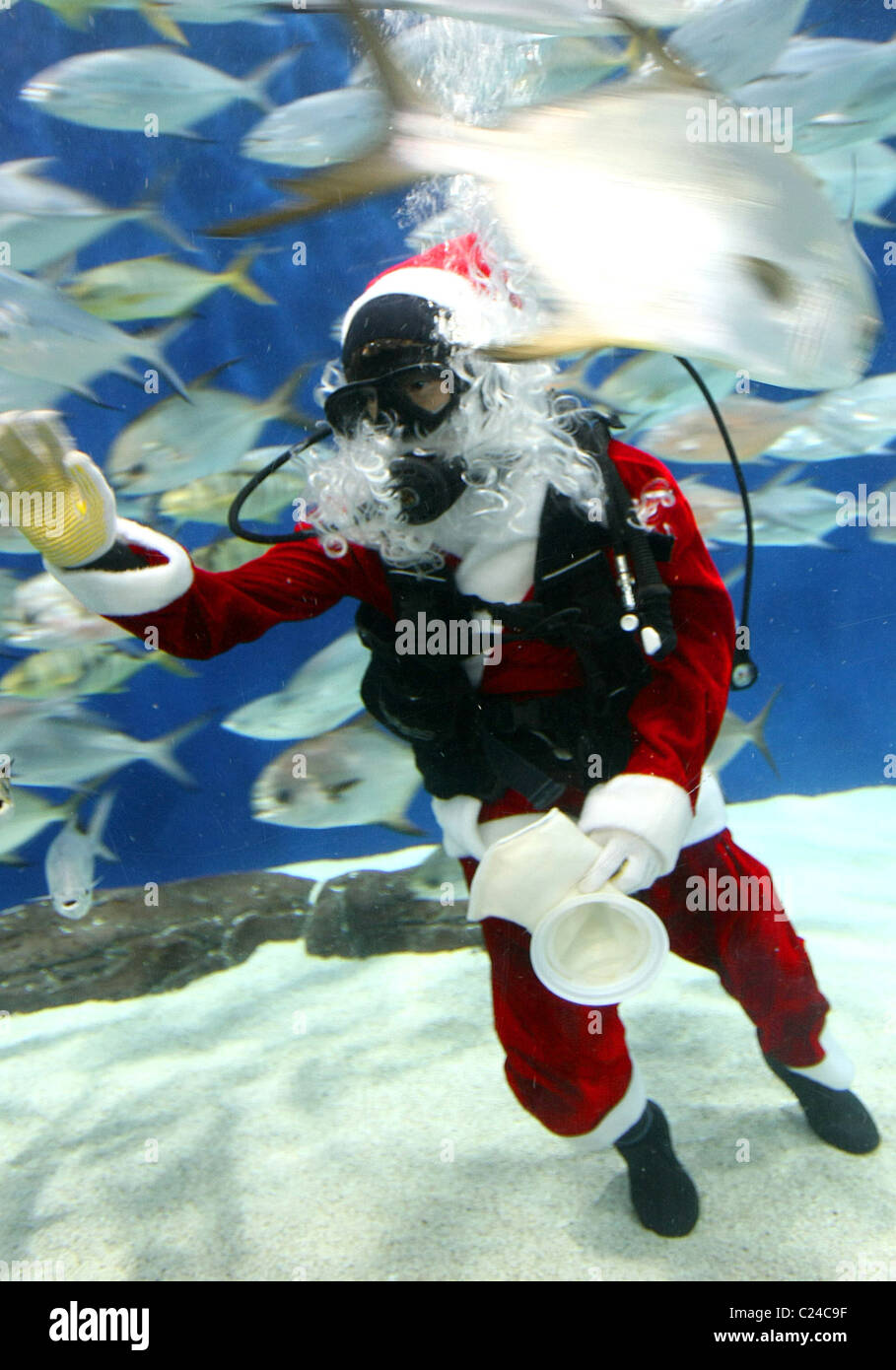 Santa Claus Underwater in an Aquarium China - Circa 2007 Stock Photo ...