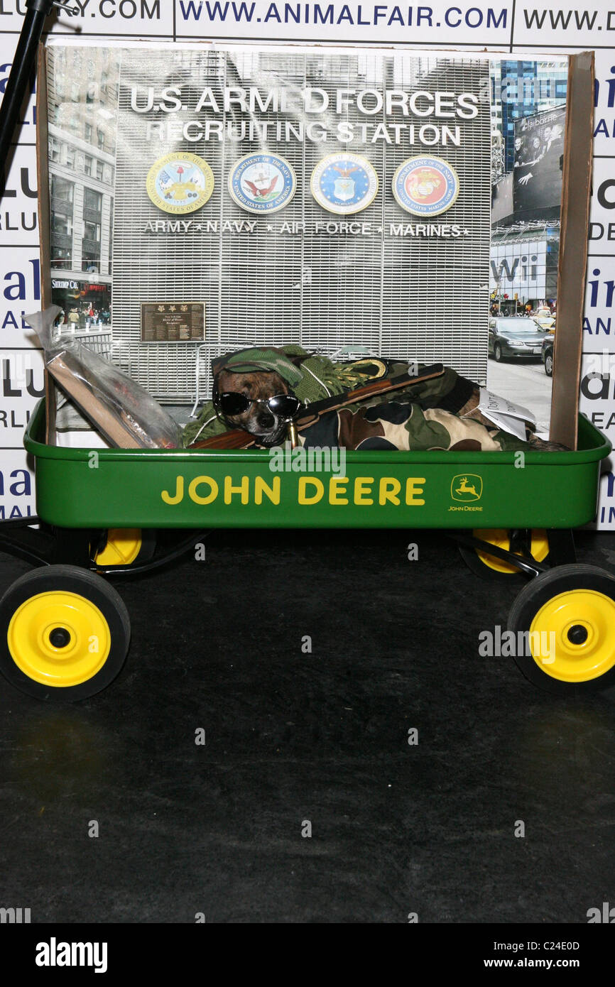 Animal magazines hi-res stock photography and images - Alamy