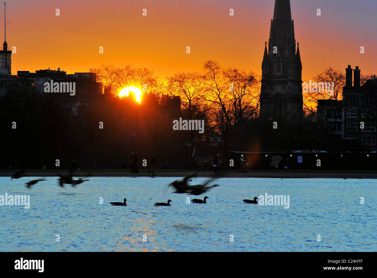 Hyde park at sunset hi-res stock photography and images - Alamy
