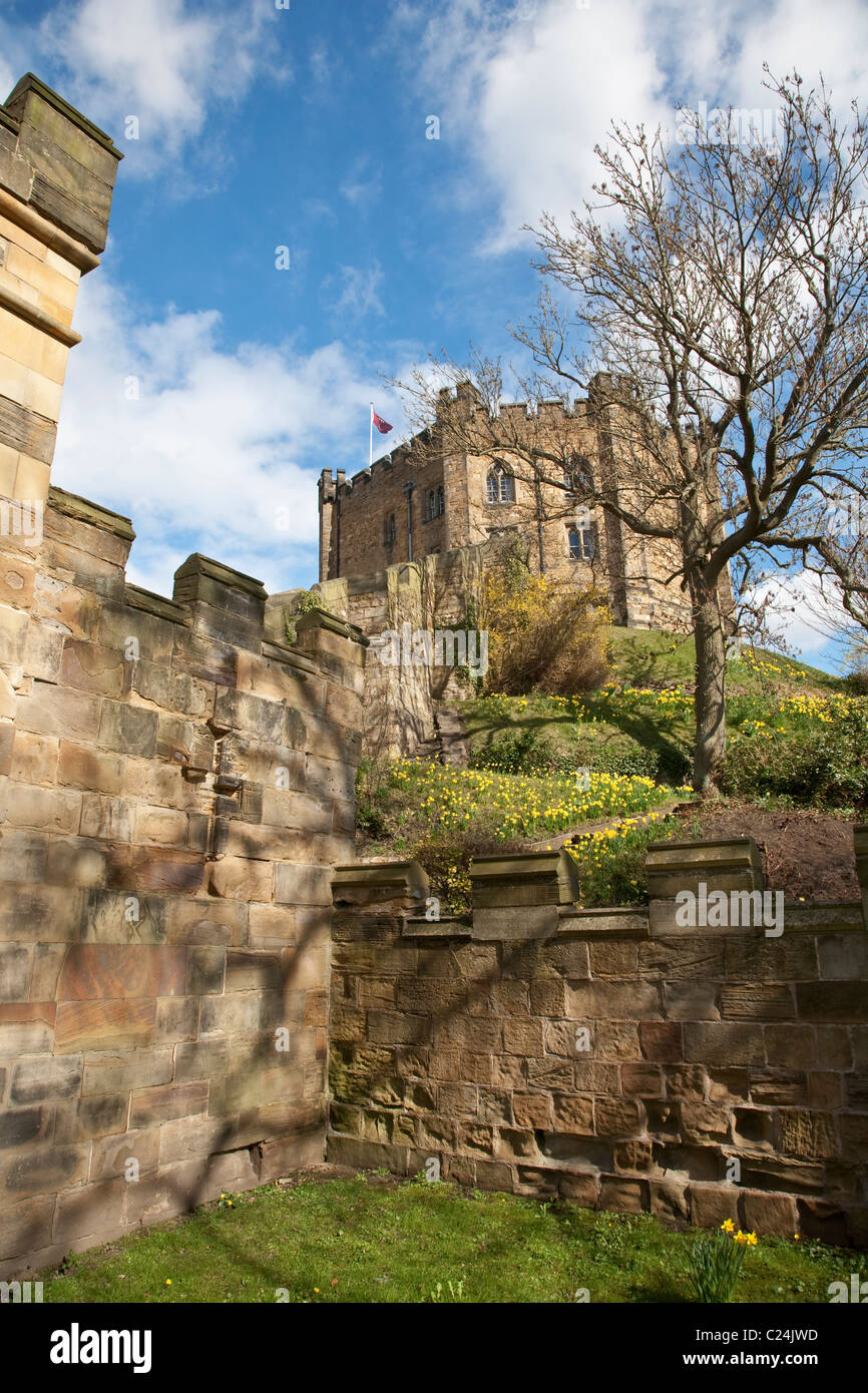 Tower, walls and garden at Durham Castle in springtime Stock Photo - Alamy