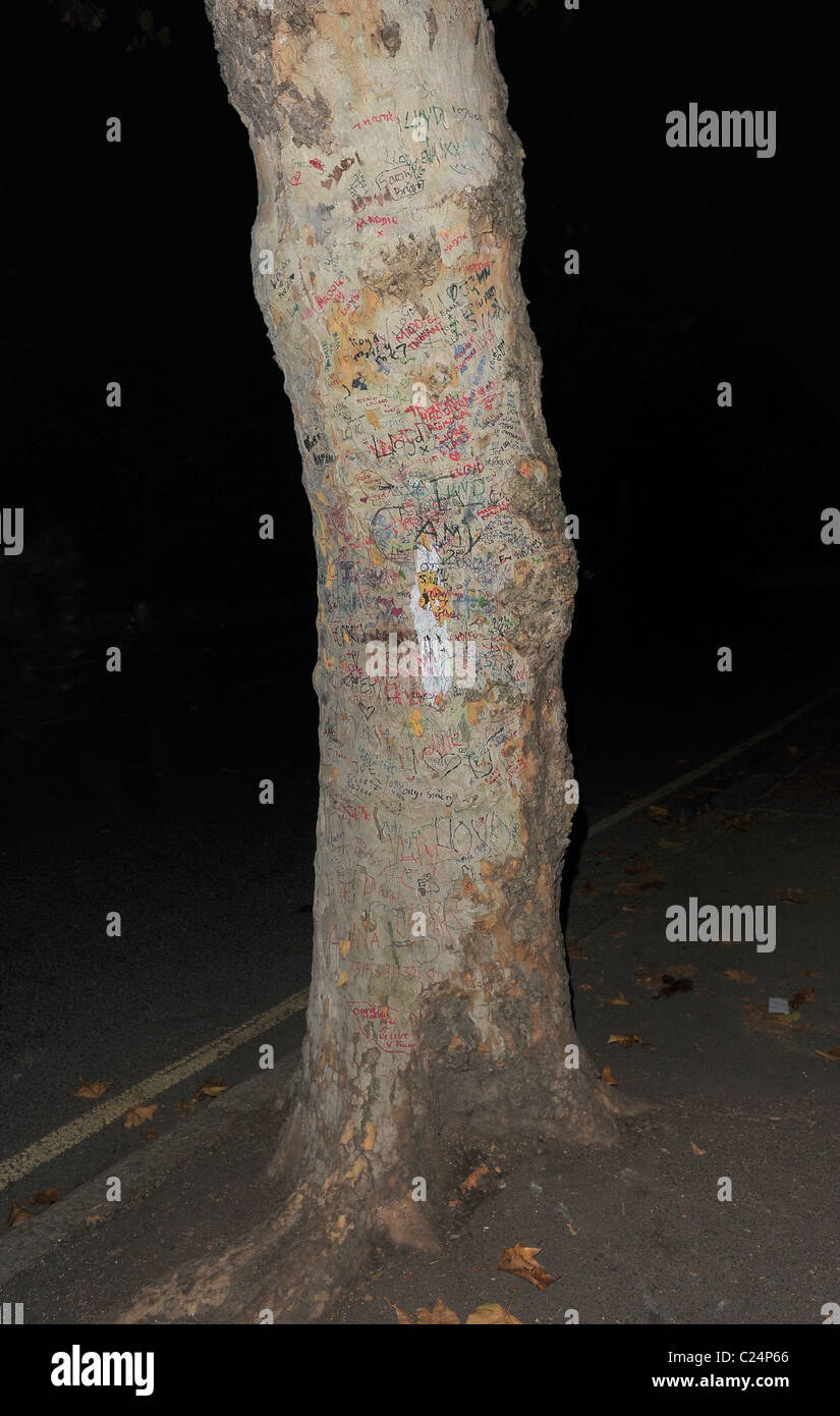 General views of the gates and walls outside The X factor House, where ...