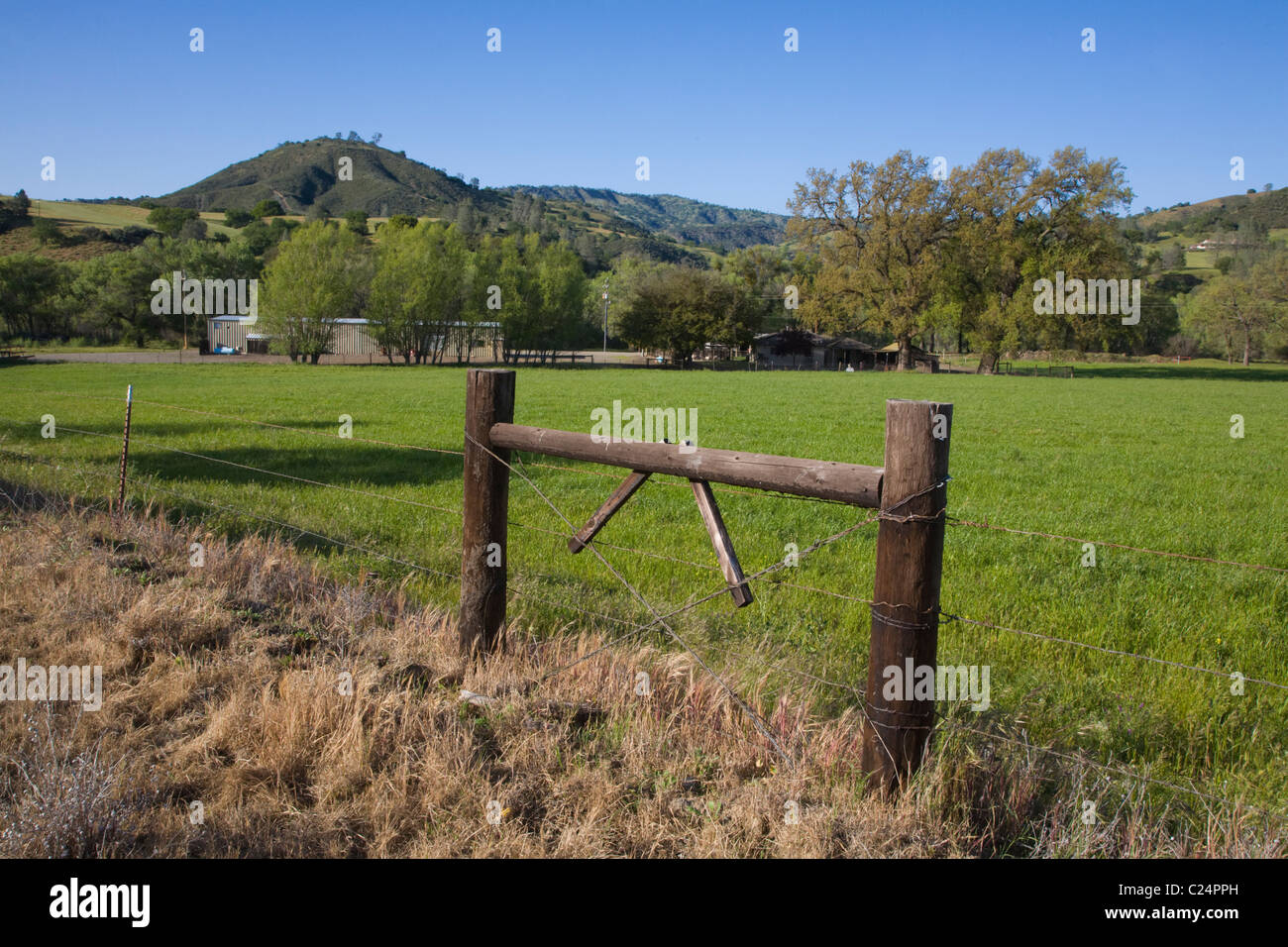 A fenced pasture Coastal Range cattle ranch in central CALIFORNIA Stock ...