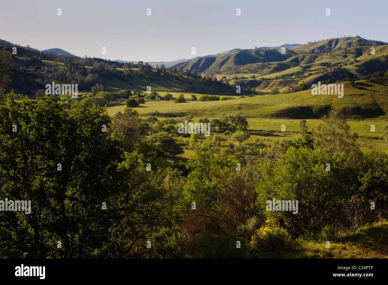 A Coastal Range cattle ranch in central CALIFORNIA Stock Photo - Alamy