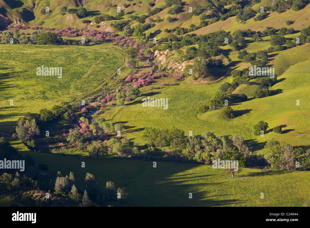 A Coastal Range river valley runs through a CATTLE RANCH in central ...