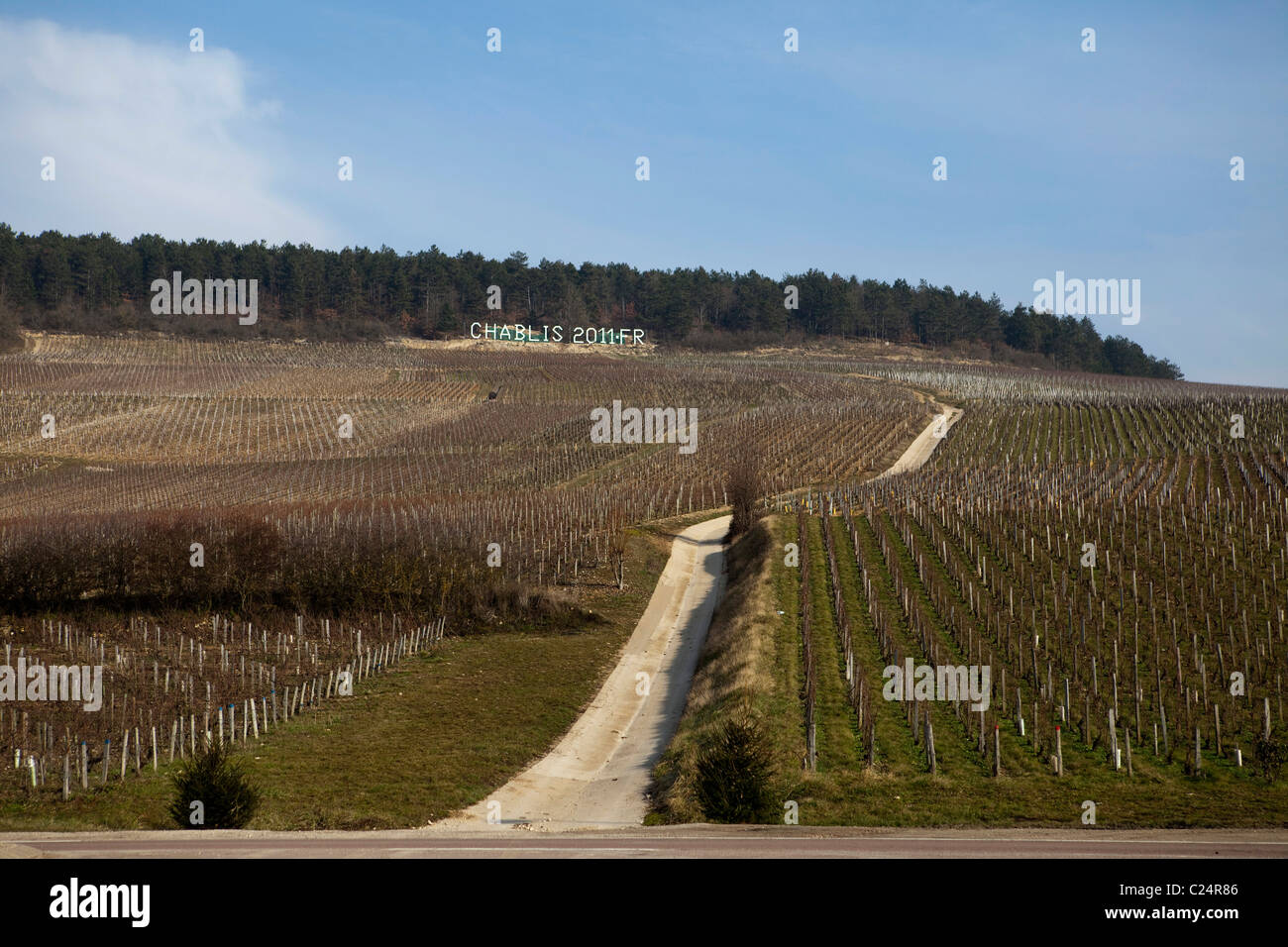 Chablis france vineyard hi-res stock photography and images - Alamy