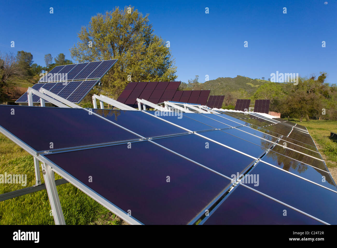 Cattle panel hi-res stock photography and images - Alamy