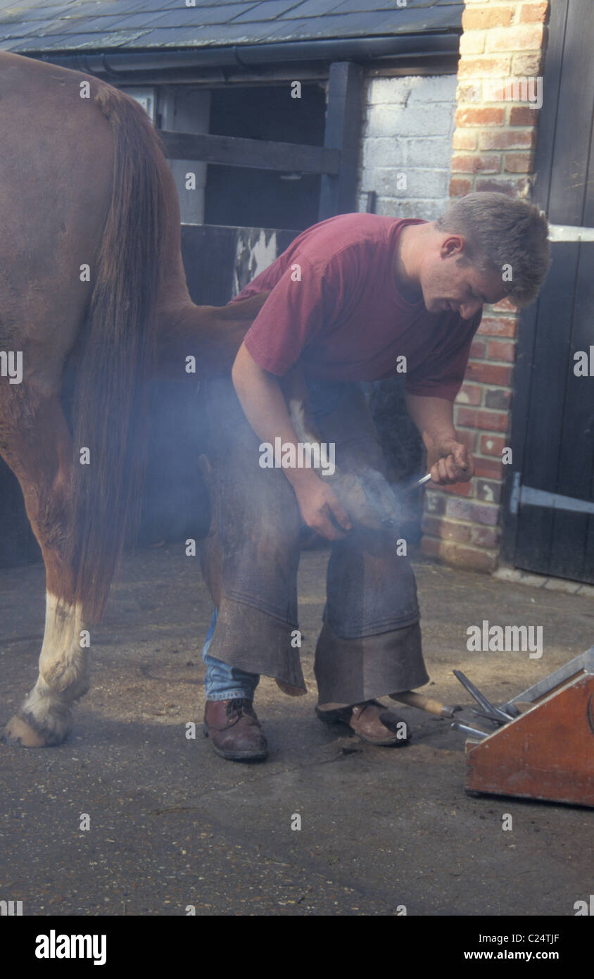 farriers at work Stock Photo - Alamy