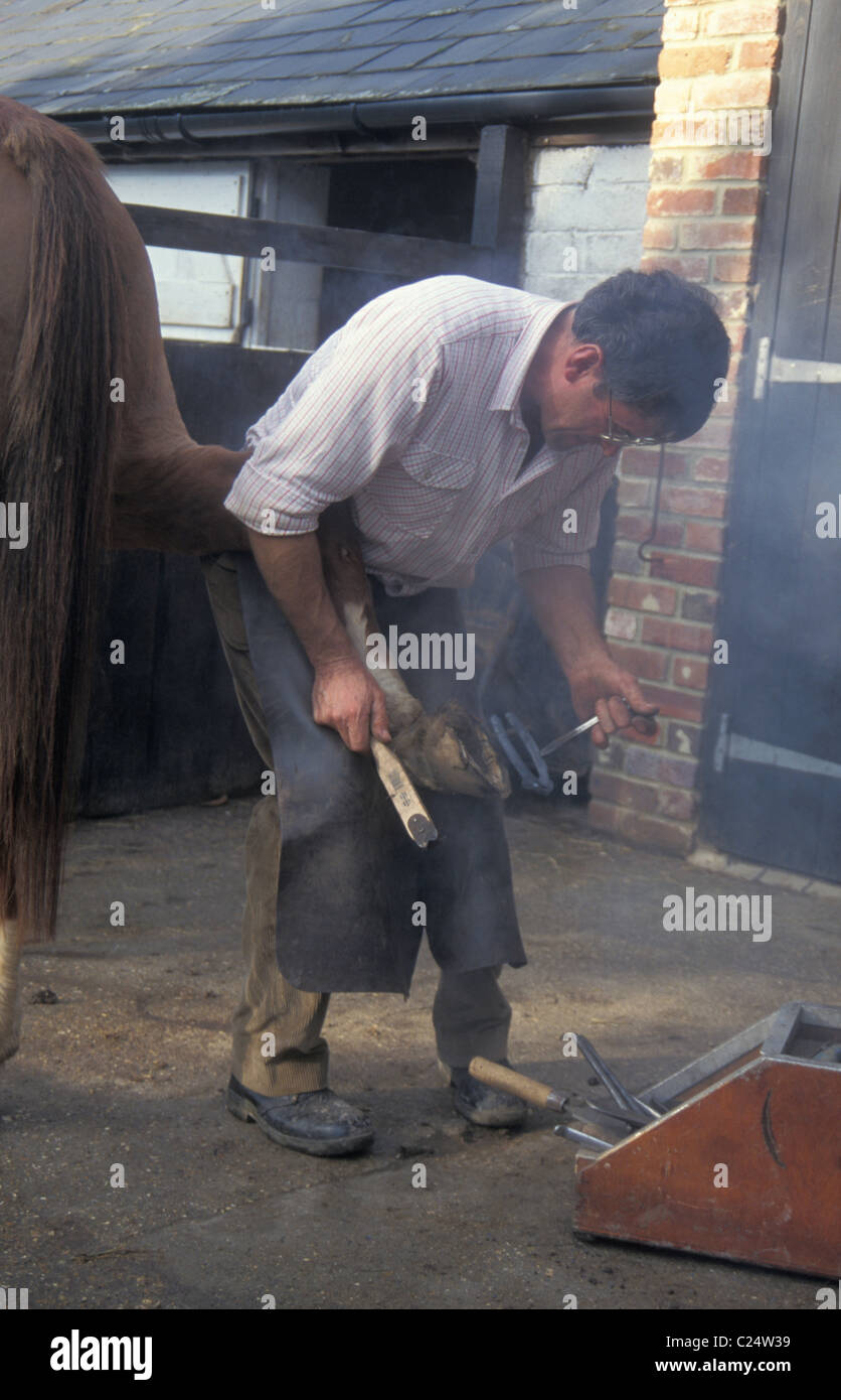 farrier at work Stock Photo - Alamy